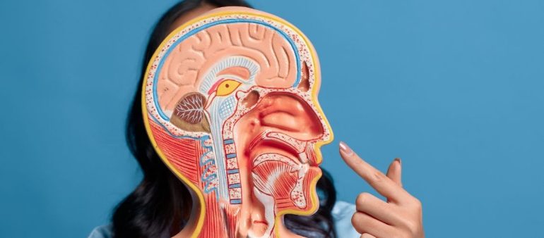 Neusanatomie - Prof. Dr. Murat Songu